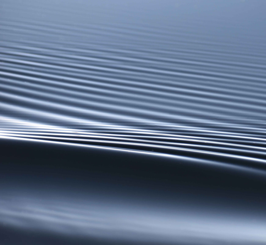 Library Exhibit - KATEOSGOODDESIGNS.COM